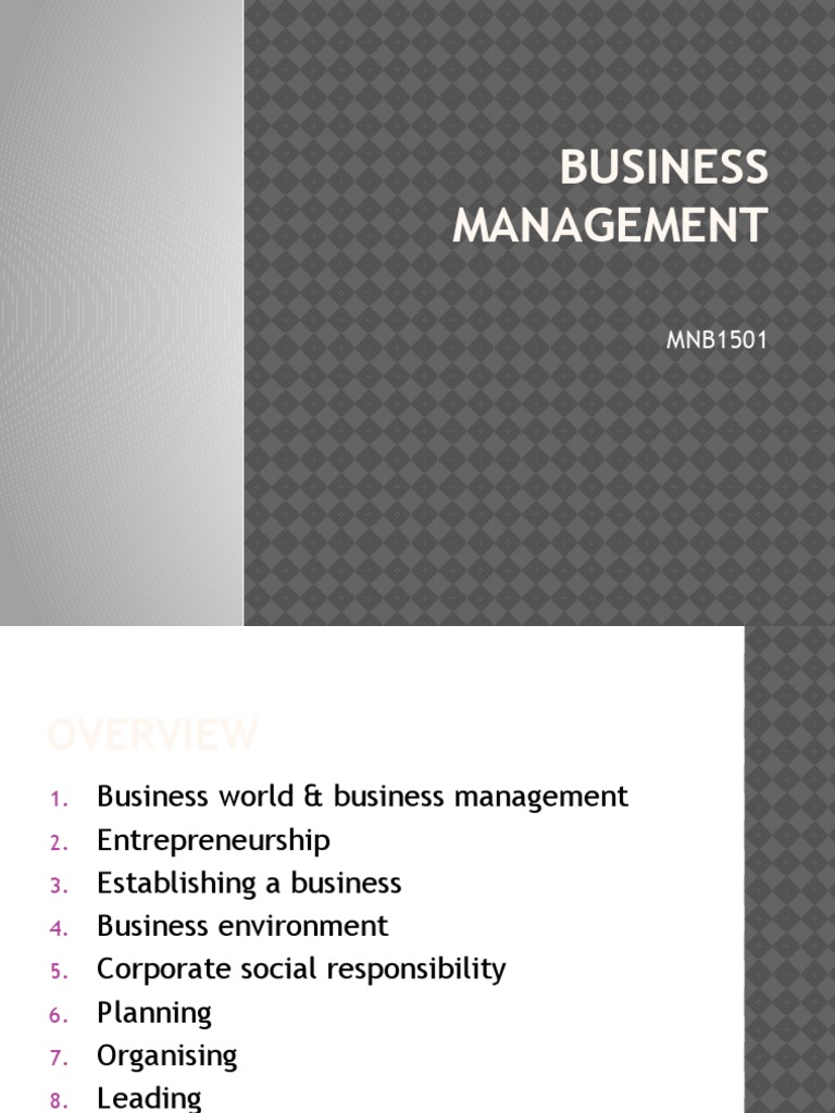 MNB1501 Business Management Overview | PDF | Entrepreneurship ...