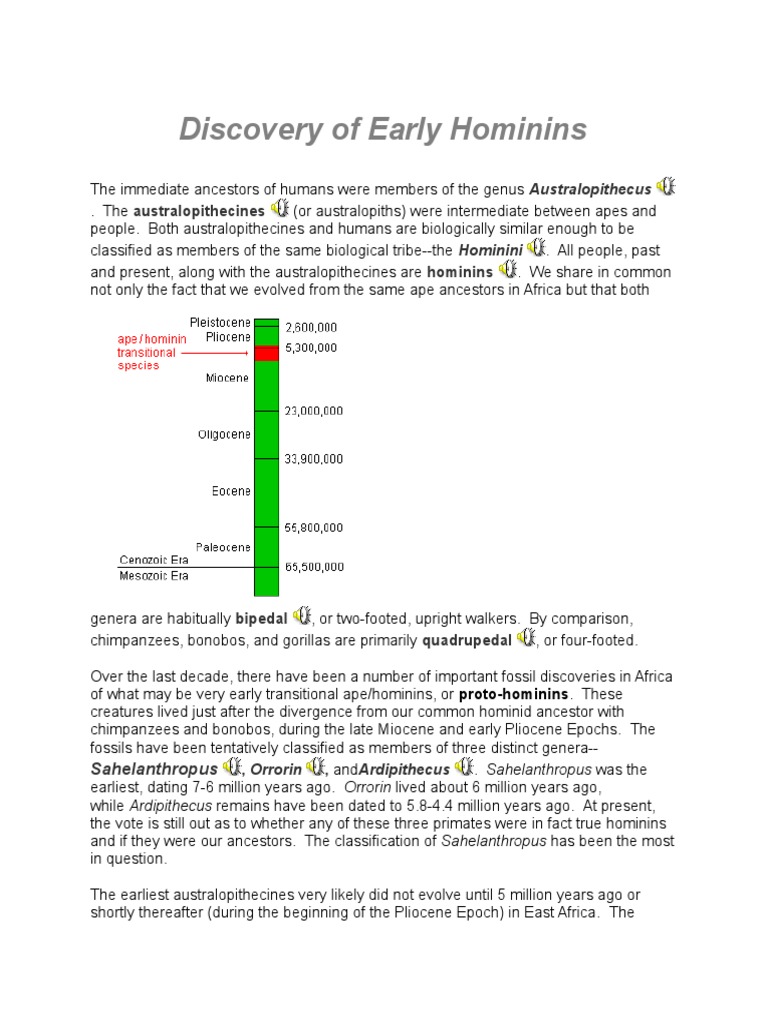 Discovery of Early Hominins | PDF | Lucy (Australopithecus) | Neanderthal