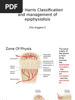 Sarmiento Cast for Tibial Fractures | PDF