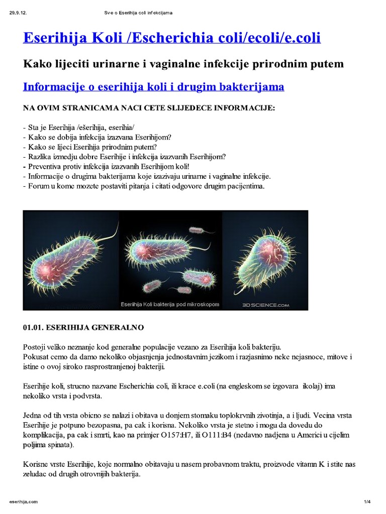 Sve o Eserihija Coli Infekcijama | PDF