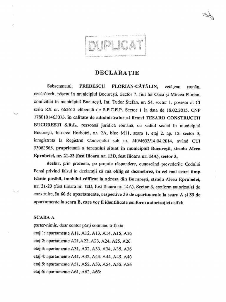 Declaratie de Imputernicire | PDF