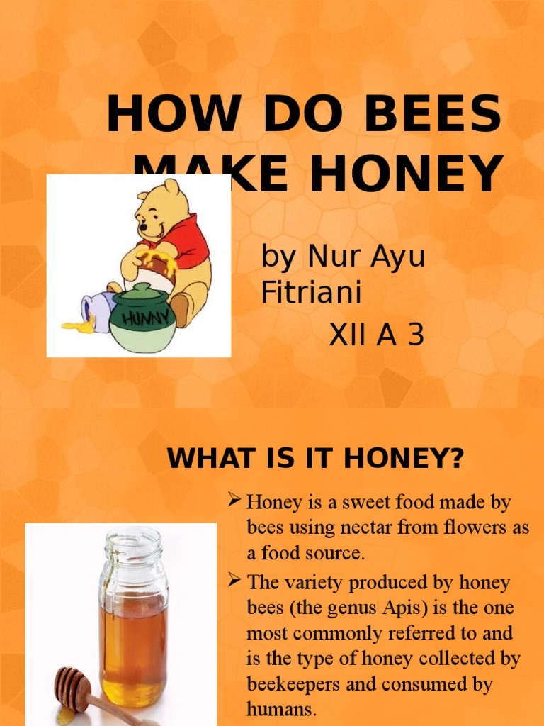 How Bees Produce Honey Explained | PDF