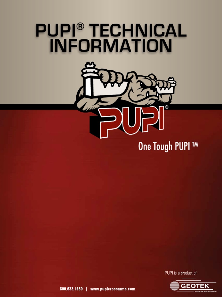 PL010 PUPI Technical Information REV01.2016 PDF | PDF | Ultraviolet ...