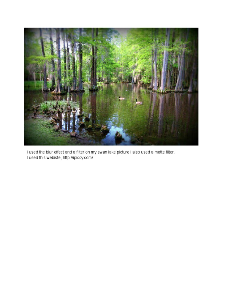 Untitleddocument 3 | PDF