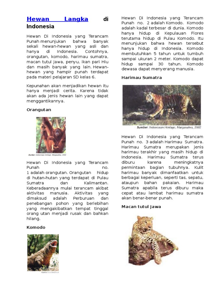 Hewan Langka Di Indonesia | PDF