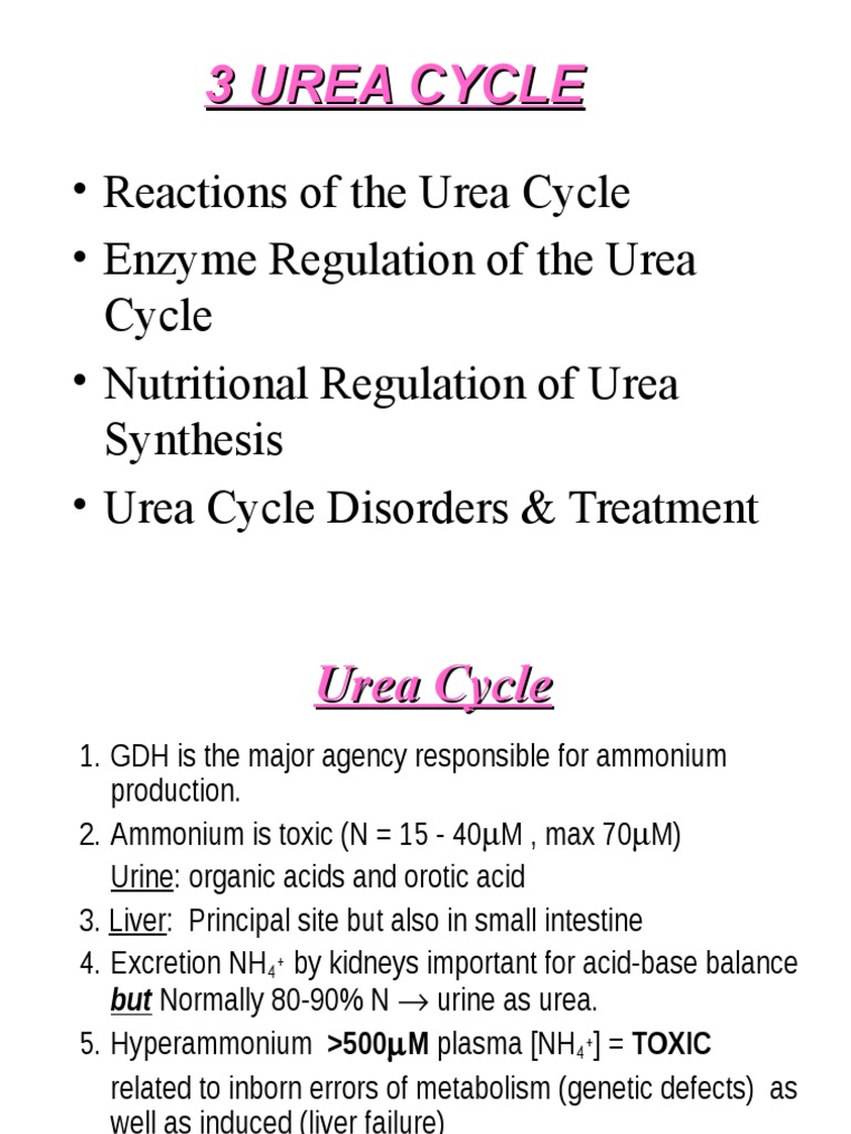 Urea Cycle | PDF | Adenosine Triphosphate | Arginine