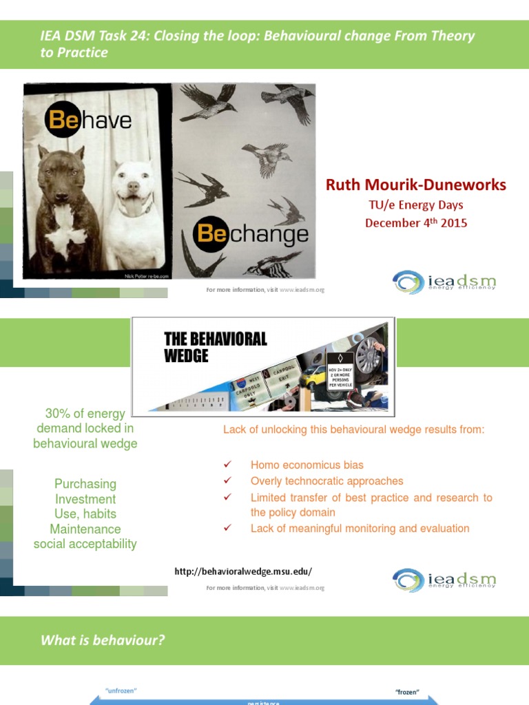 IEA DSM Task 24: Closing The Loop: Behavioural Change From Theory To ...