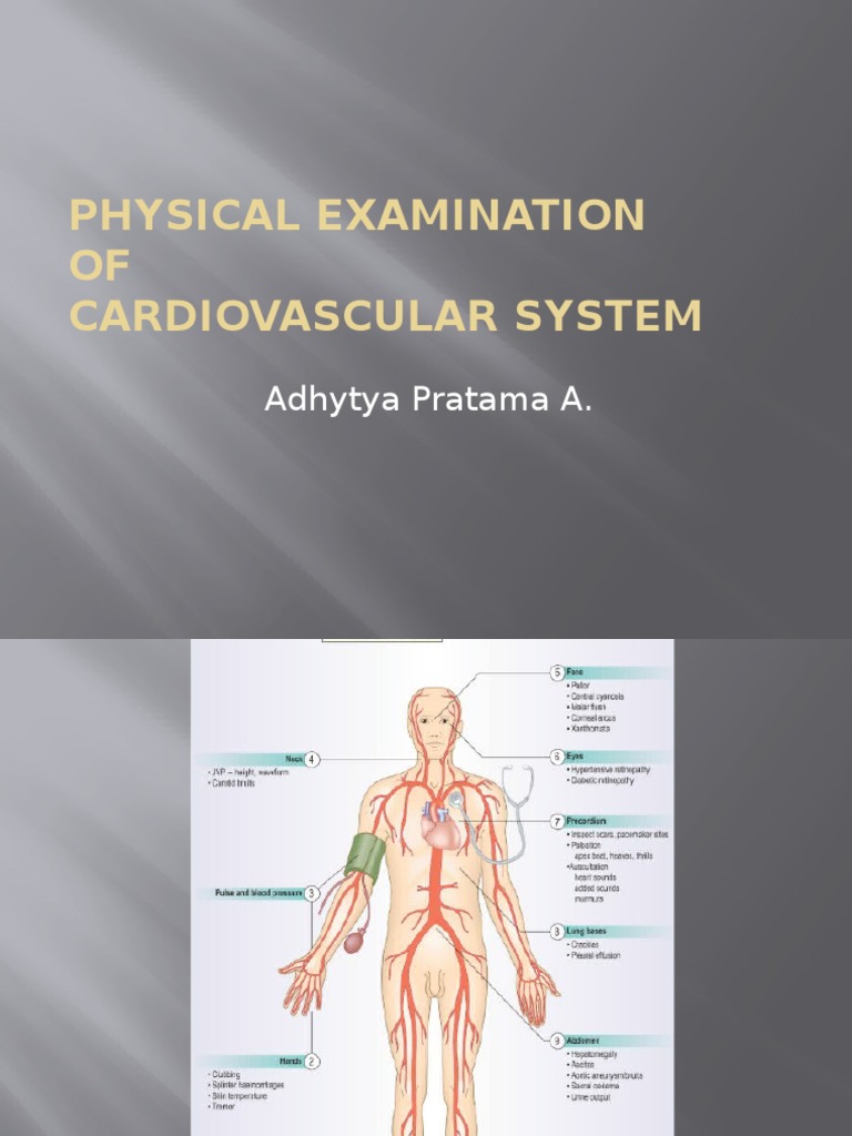 Physical Examination OF Cardiovascular System: Adhytya Pratama A | PDF ...