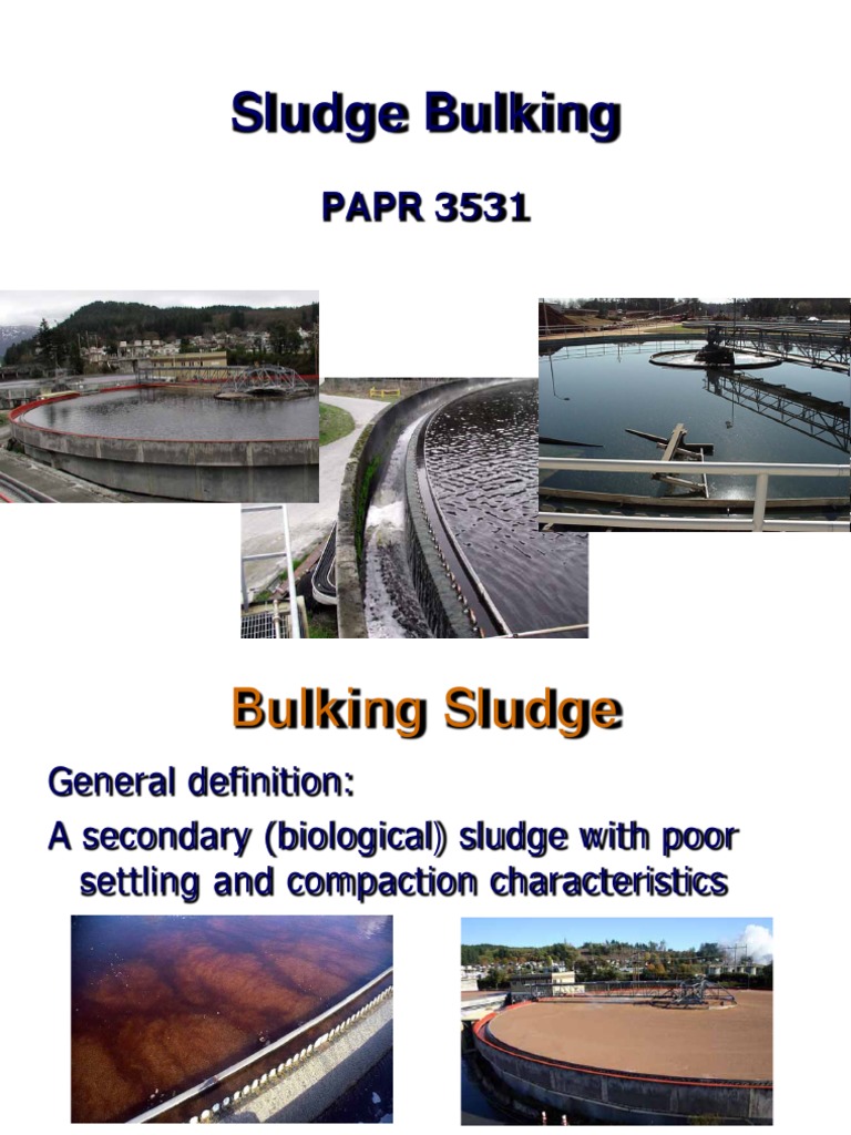 Sludge Bulking | Chlorine | Environmental Technology