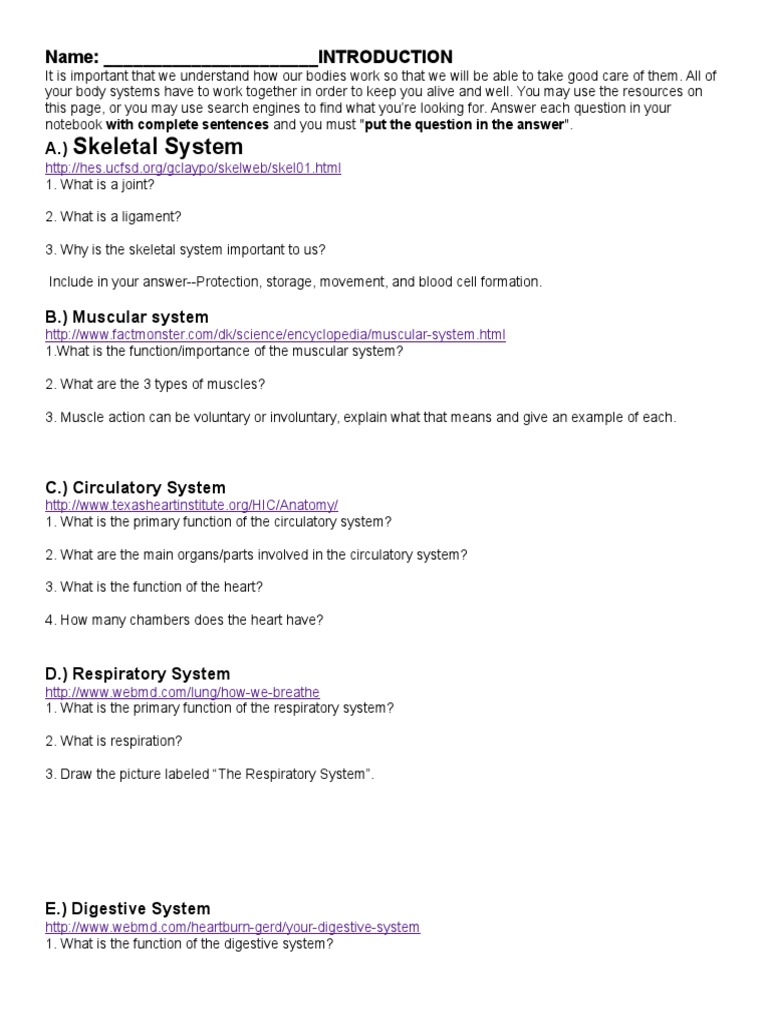 Human Body Intro Webquest | PDF | Endocrine System | Muscle