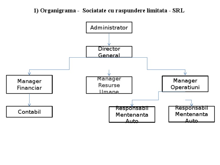 1) Organigrama - Sociatate Cu Raspundere Limitata - SRL: Administrator | PDF