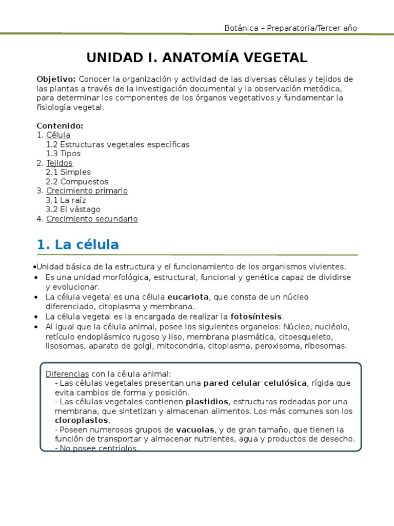 Unidad I. Anatomia Vegetal | PDF | Tallo de la planta | Raíz