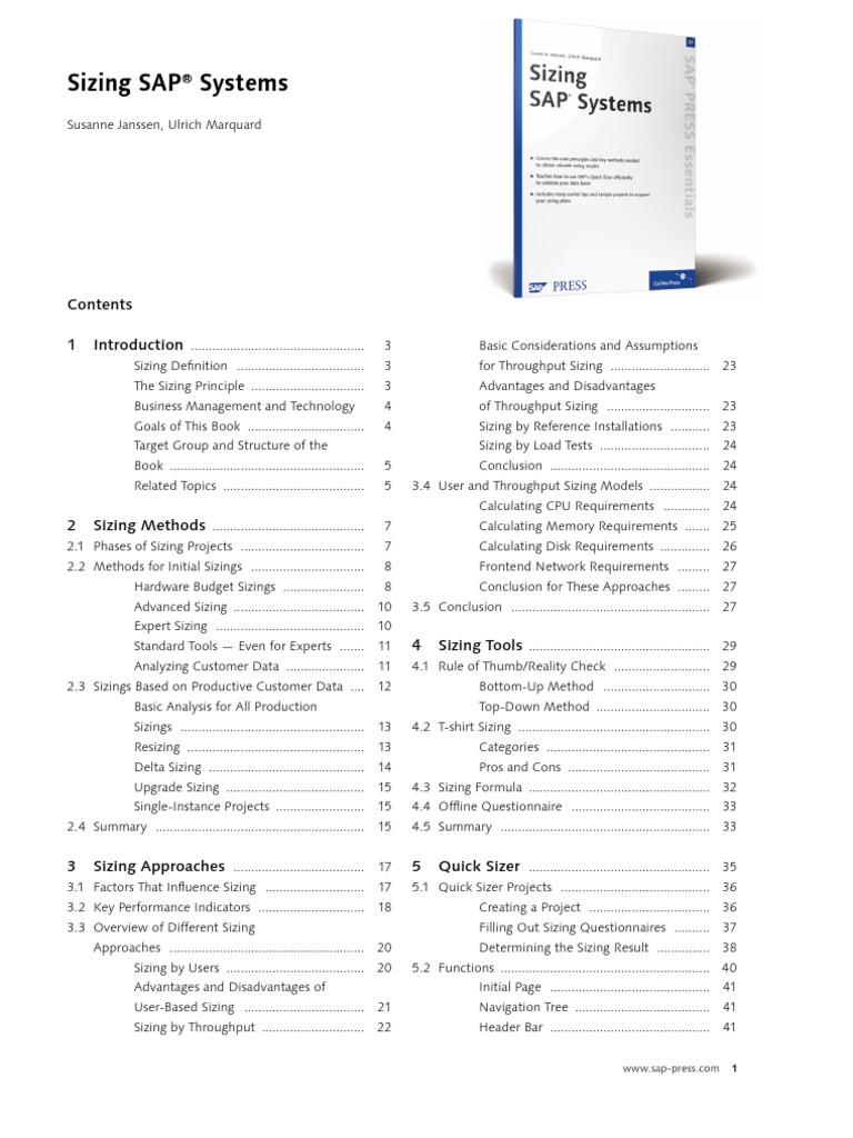 Sap Sizing Example | PDF