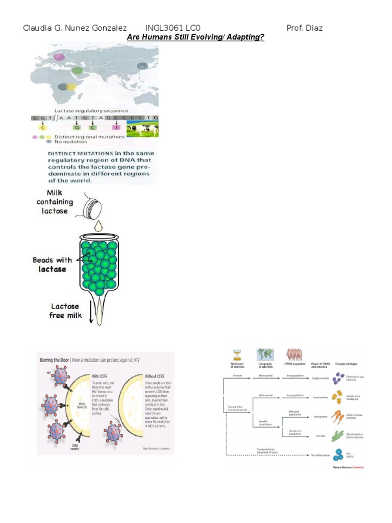 Are Humans Still EvolvingNNN | PDF