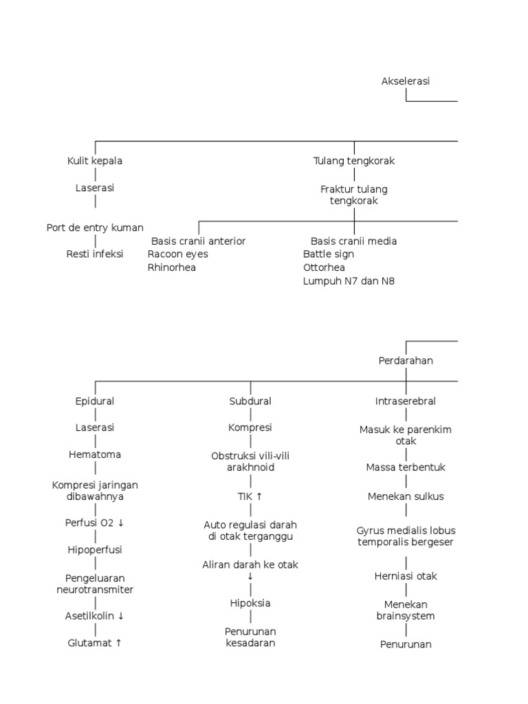 Pathway Head Injury | PDF