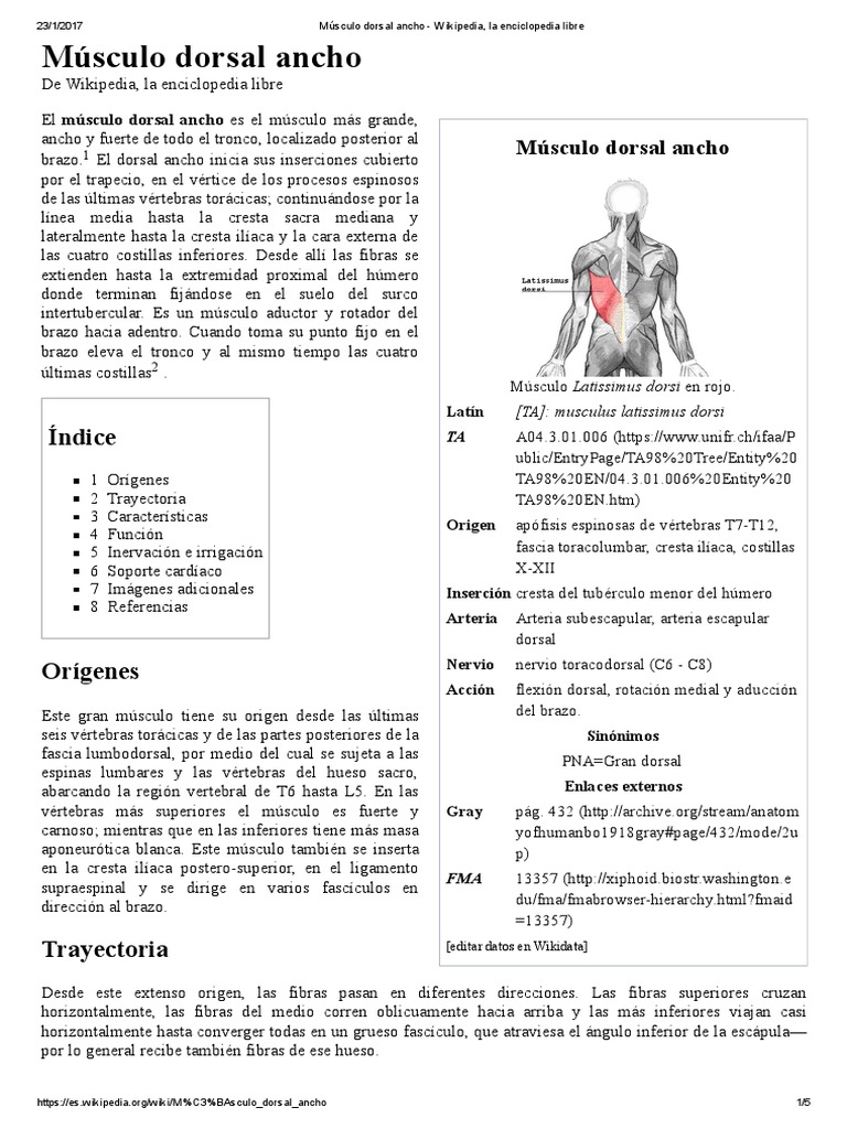 Músculo Dorsal Ancho - Wikipedia, La Enciclopedia Libre | Tejido suave ...