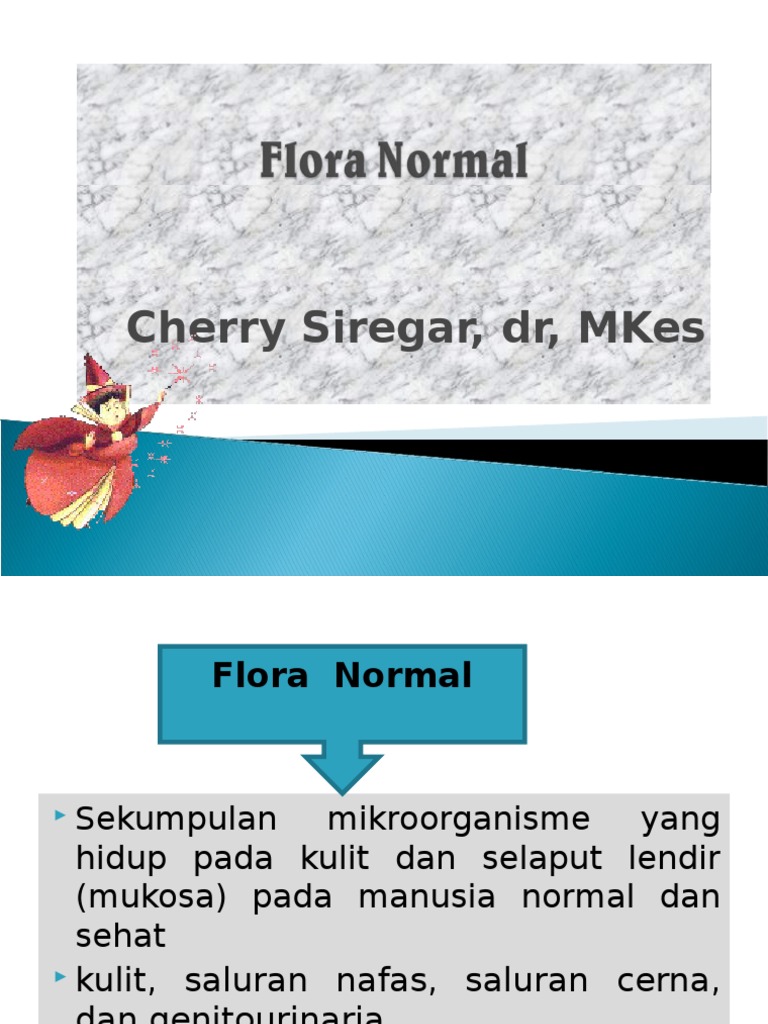 Flora Normal | PDF