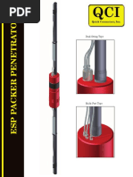 QCI 10K ESP Packer Penetrator Brochure | PDF