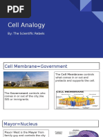 Cell and Football Stadium Analogies | PDF | Cell (Biology) | Cell Nucleus