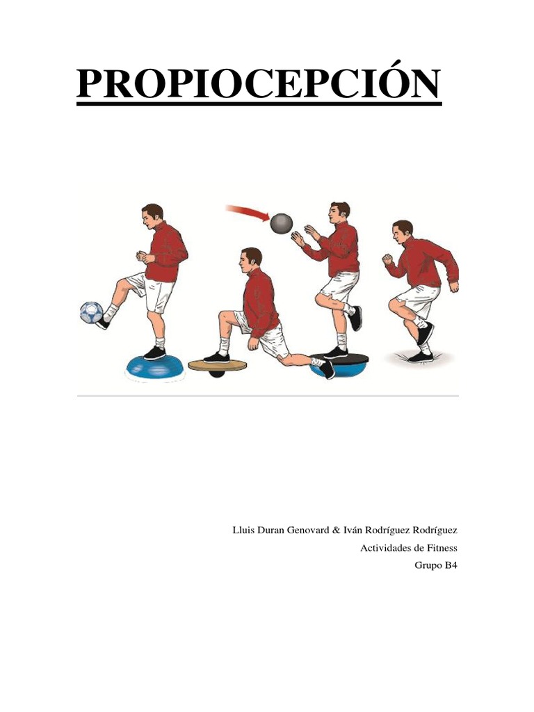 PROPIOCEPCIÓN | PDF