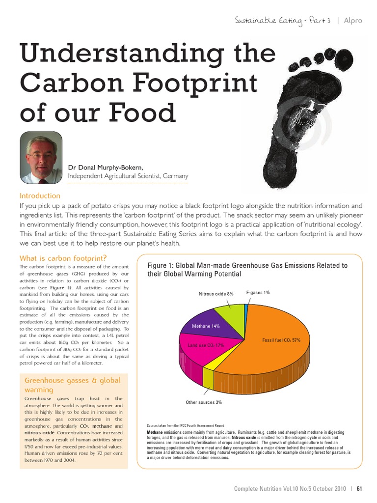 Understanding Food's Carbon Footprint | PDF | Carbon Footprint ...