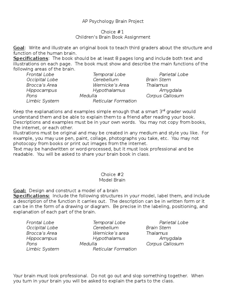 Brain Project Explanation and Rubric | PDF | Limbic System | Human Brain