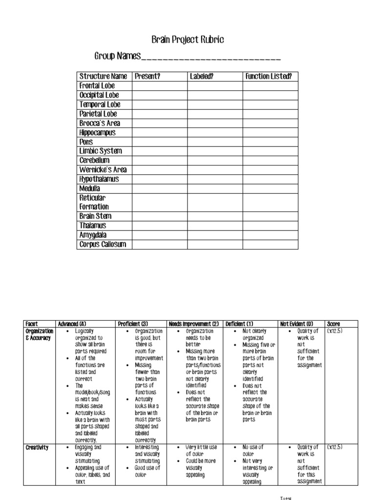 Brain Project Rubric | PDF | Career & Growth | Computers