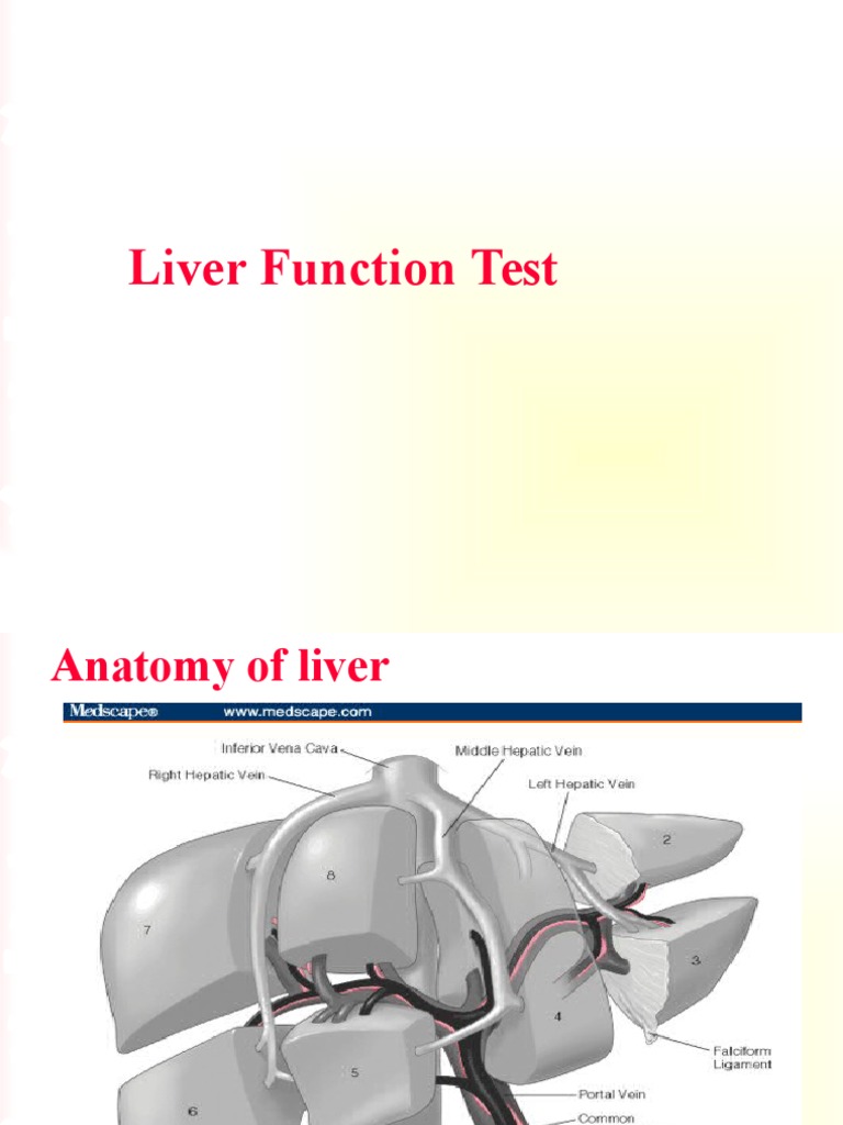 Liver Function Test | PDF | Alanine Transaminase | Liver