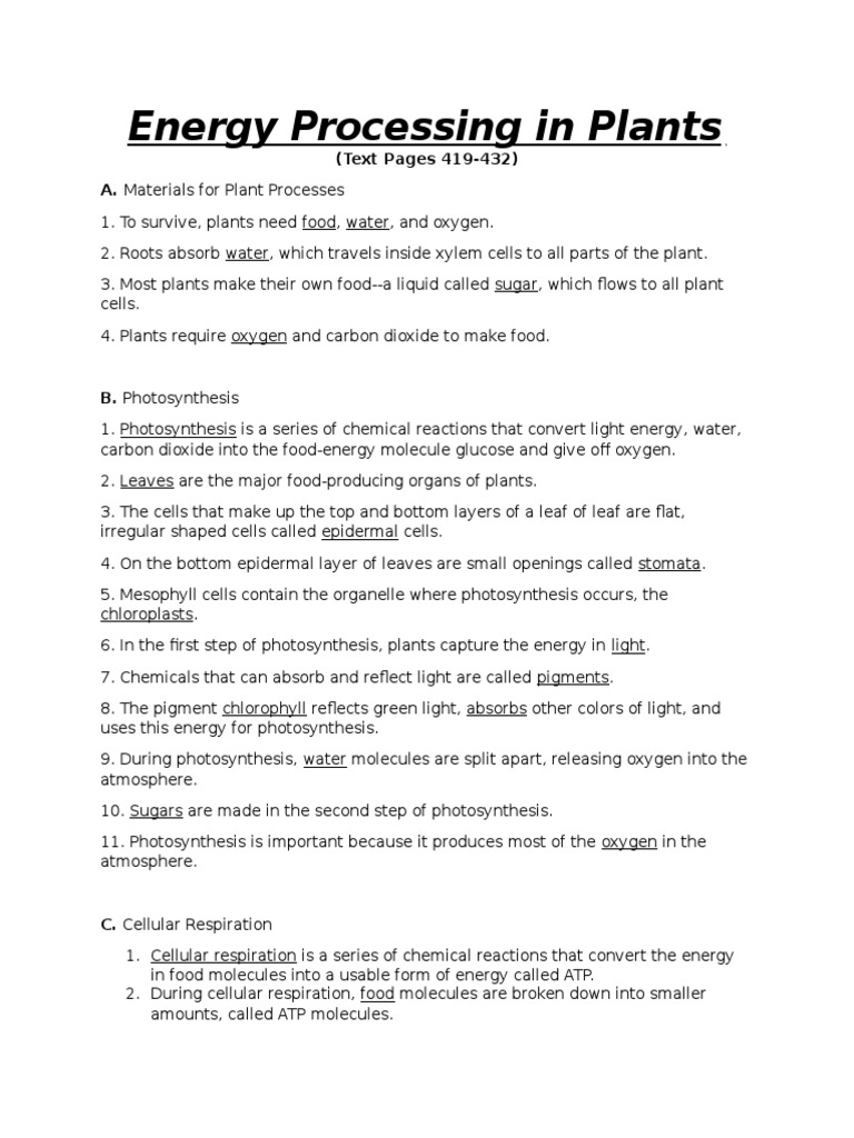 energy processing in plants | Photosynthesis | Plants