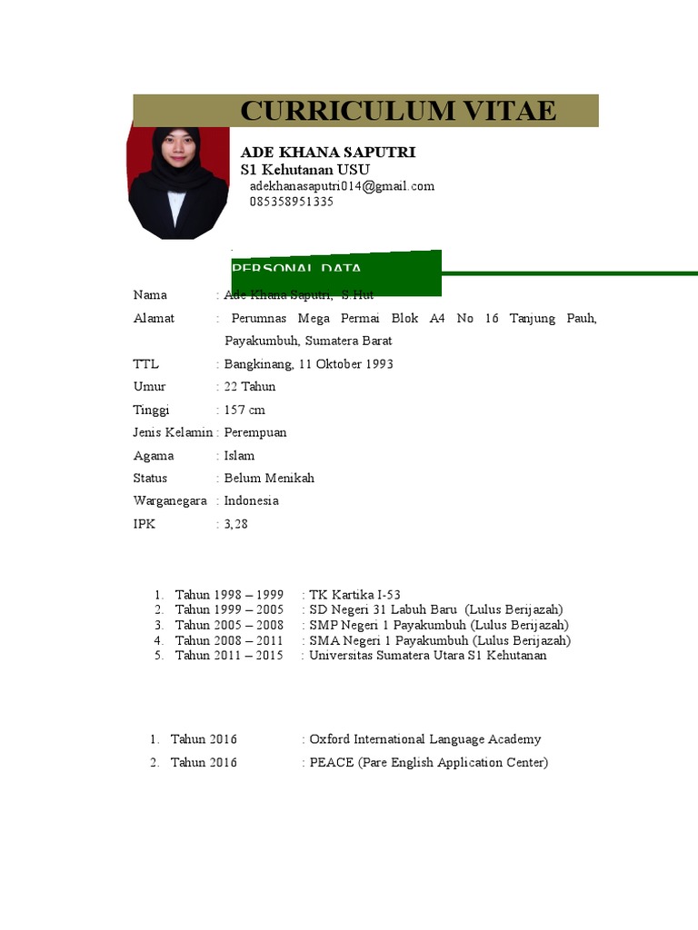 Curriculum Vitae Aks | PDF