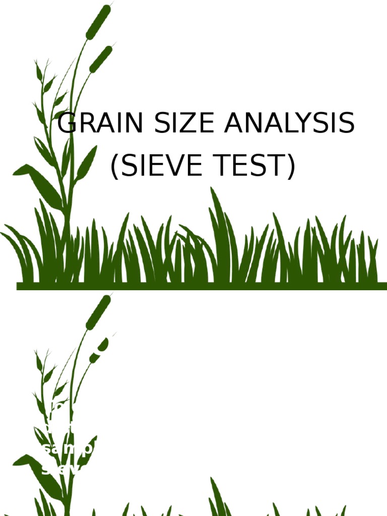 Grain Size Analysis: (Sieve Test) | PDF