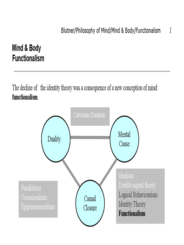Mind Body Functionalism | PDF | Philosophy Of Mind | Mind