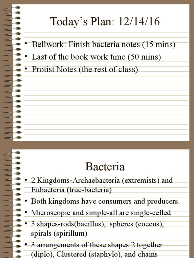 Bacteria: Types, Structure, and Functions | PDF