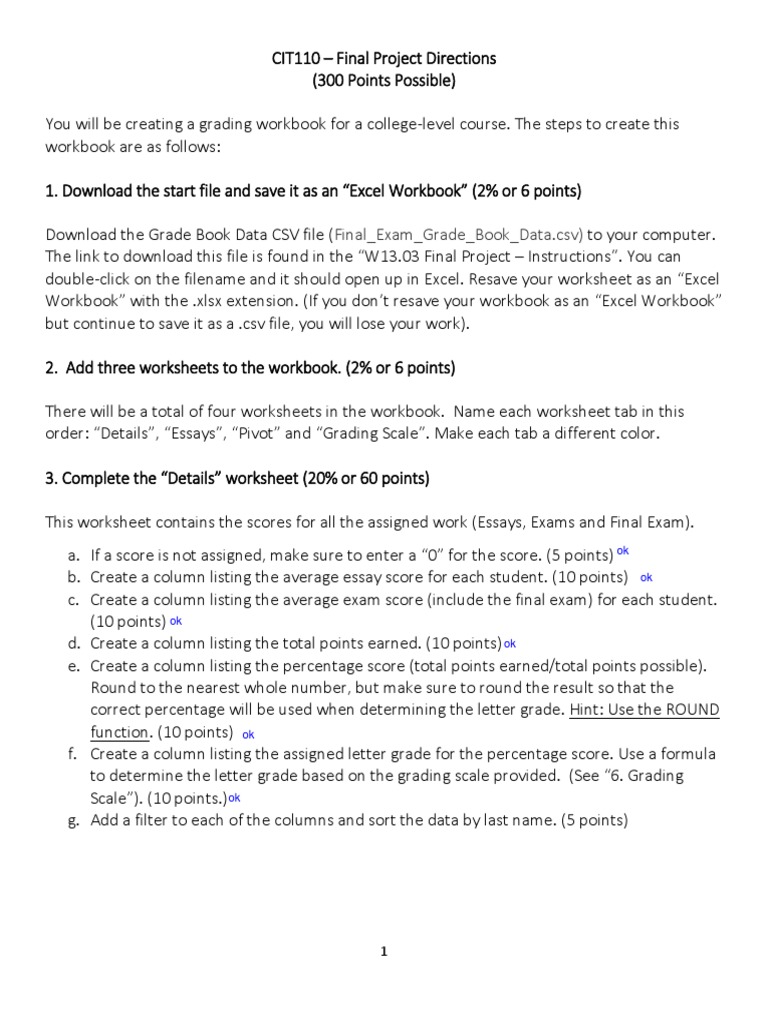Final Project Instructions | PDF | Grading (Education) | Microsoft Excel