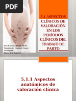 AMNIORREXIS | PDF | Parto | Embarazo humano