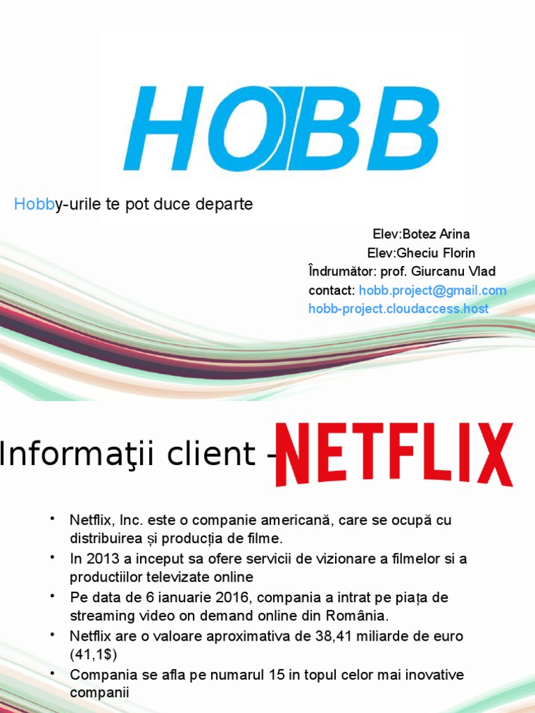 Netflix - ERD Project | PDF
