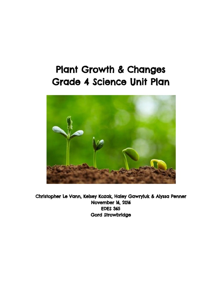 Plant Growth & Changes Grade 4 Science Unit Plan | PDF | Plants | Flowers