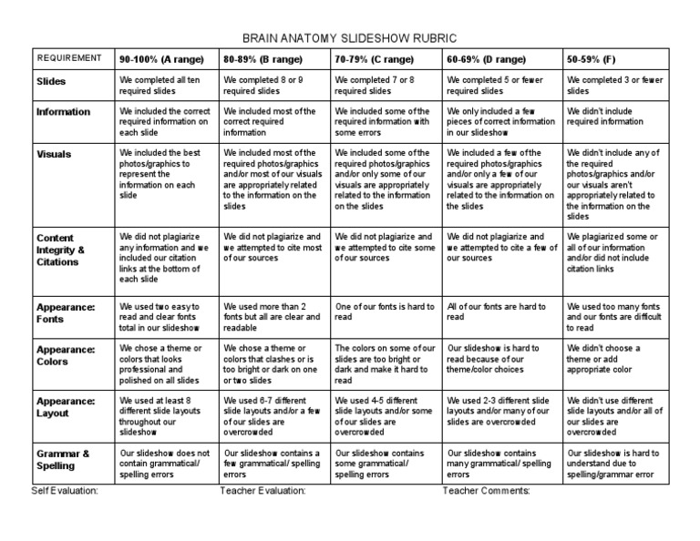 Brain Anatomy Slideshow Rubric | PDF | Communication | Cognitive Science