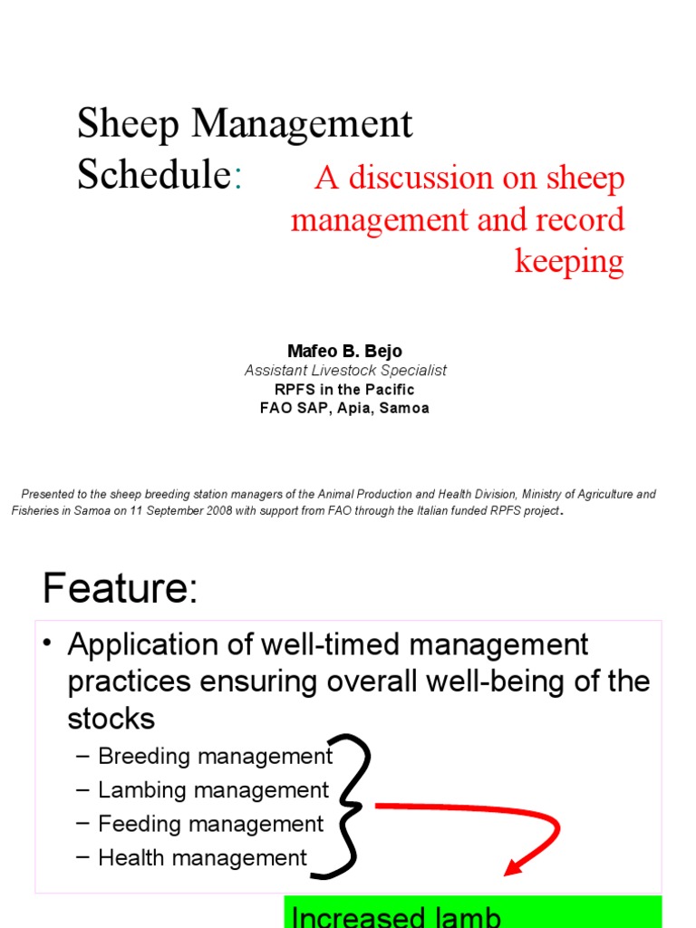 Sheep Management Schedule: A Discussion On Sheep Management and Record ...