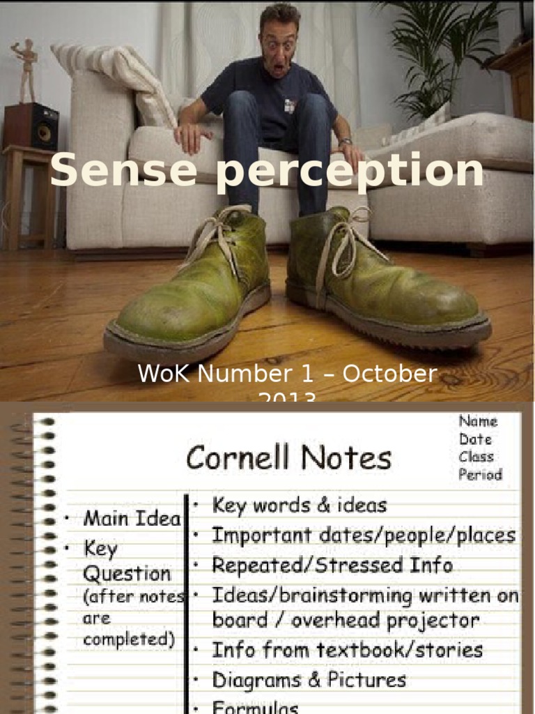 Sense Perception Lecture | PDF | Priming (Psychology) | Perception