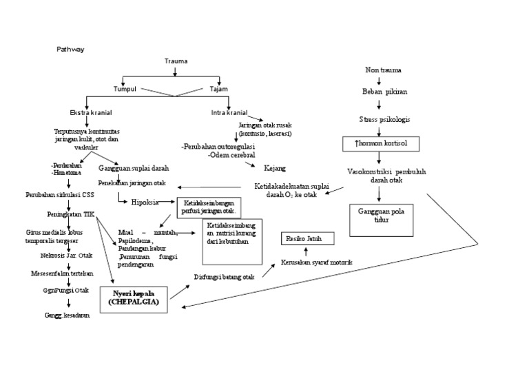 Pathway Chepalgia | PDF