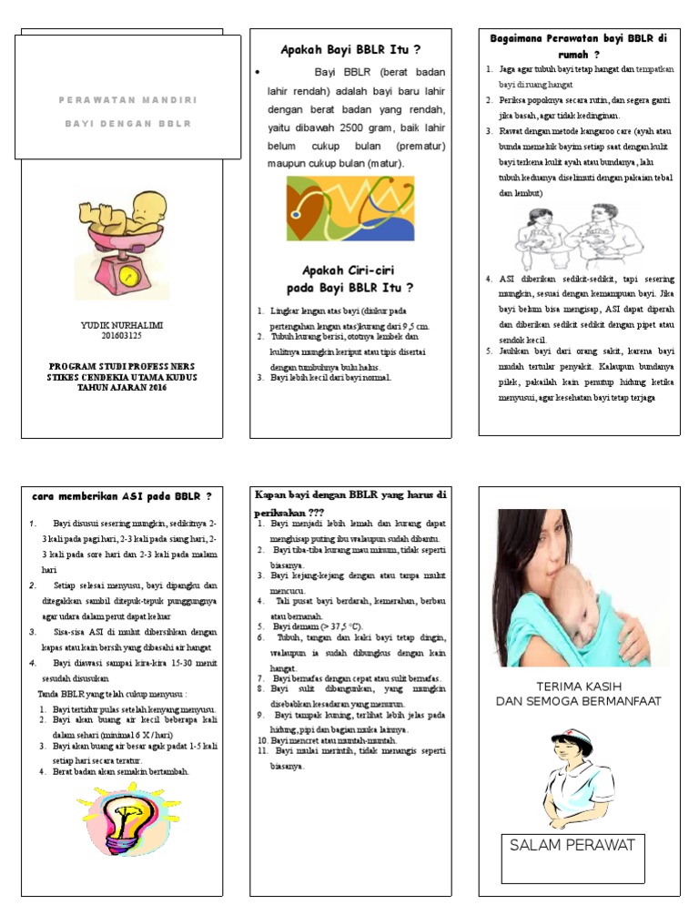 Perawatan Bayi BBLR di Rumah | PDF
