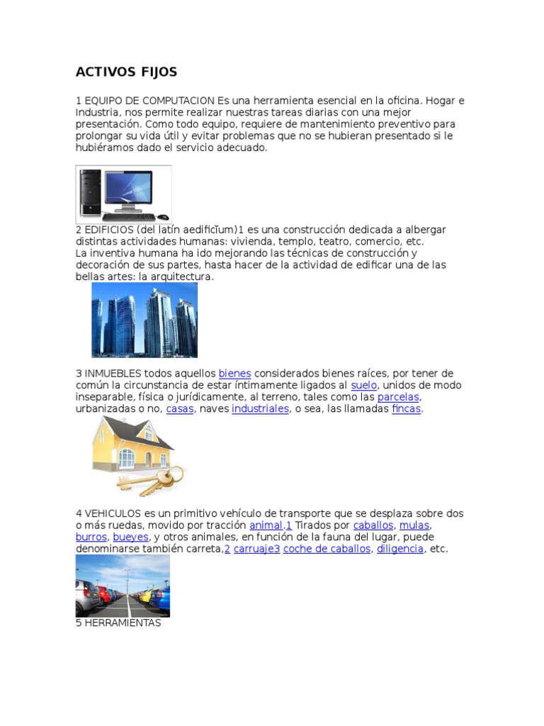 Activos Fijos Tangibles e Intangibles | PDF | Herramientas | Transporte