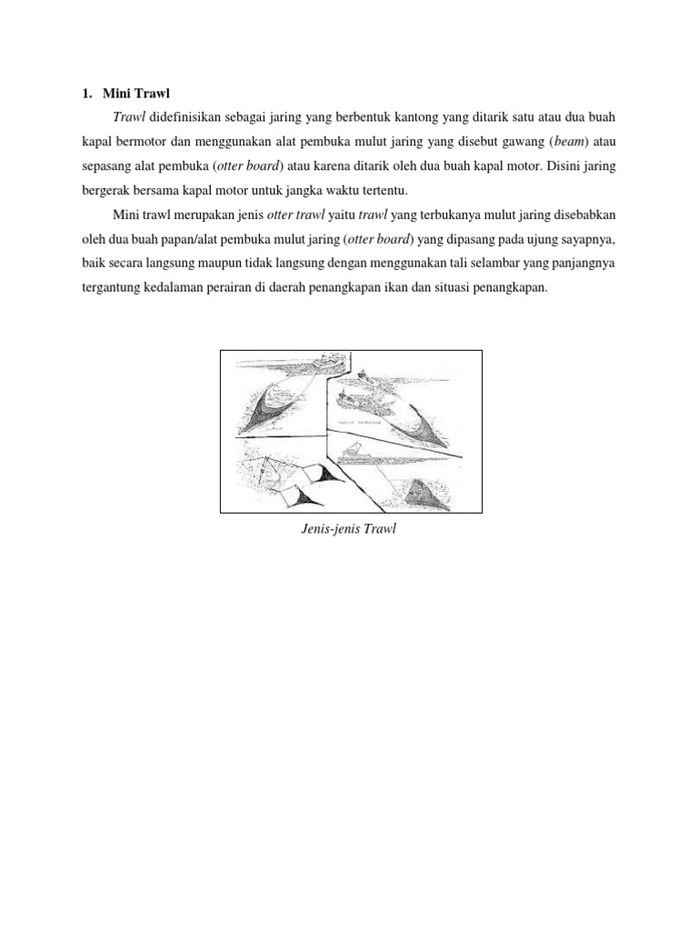 Mini Trawl | PDF