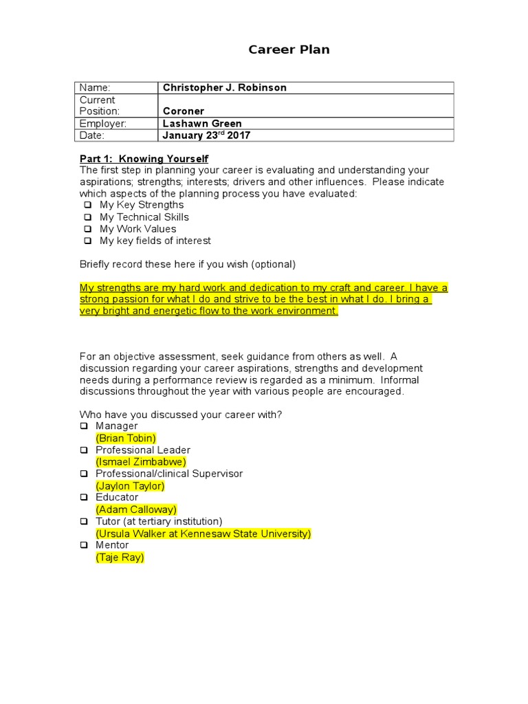 Career Plan Template | PDF