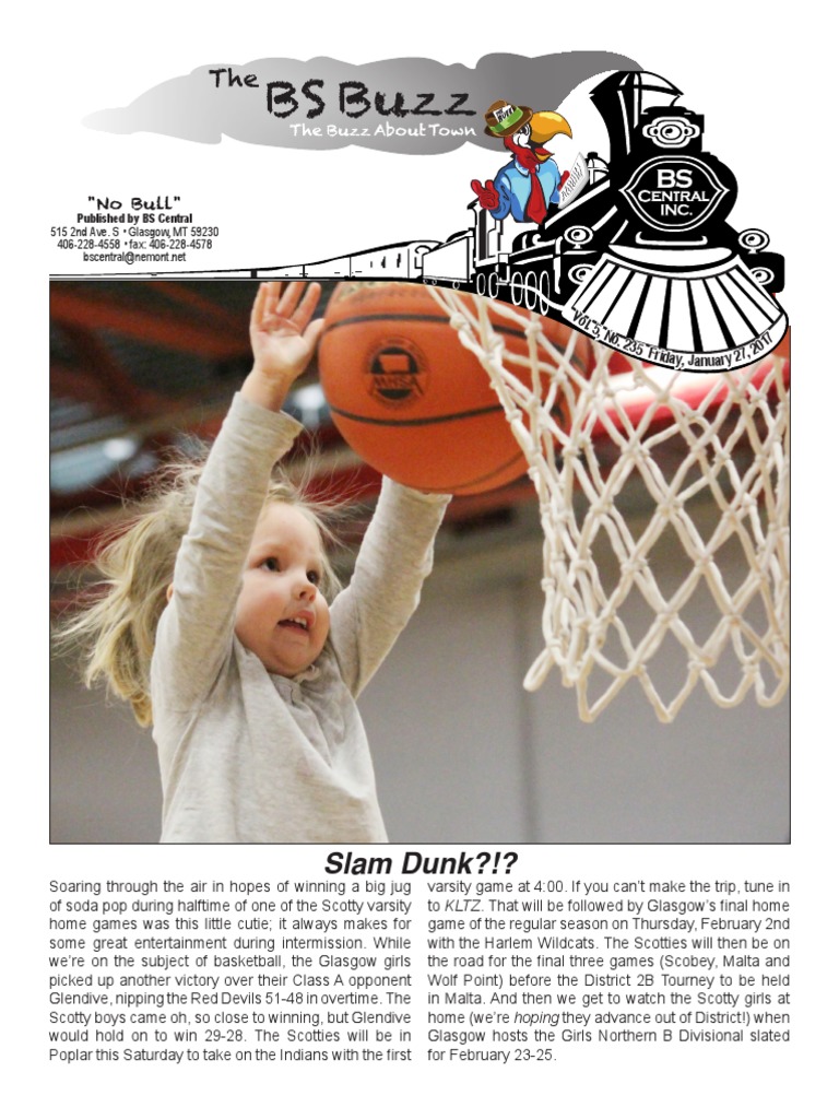 Slam Dunk?!?: Published by BS Central | PDF | Diamond | Nature