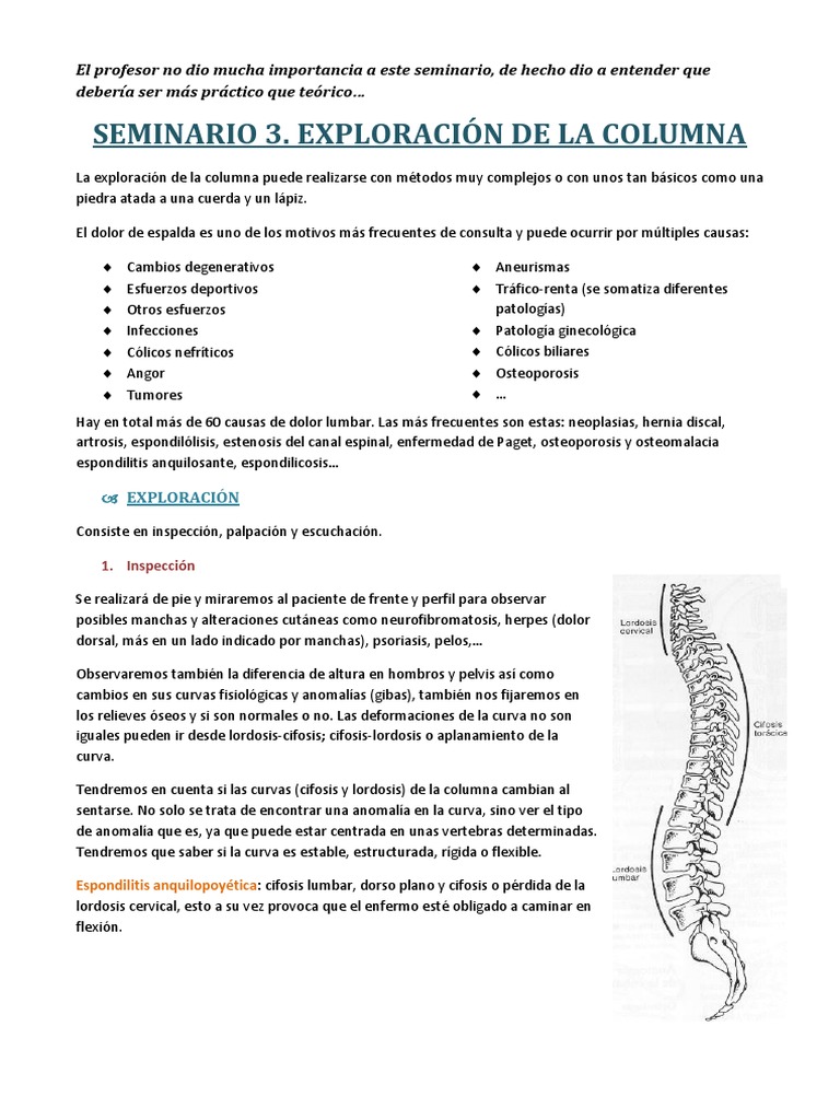 420 2014 02 18 Seminario 03 Exploracion de La Columna PDF | PDF ...