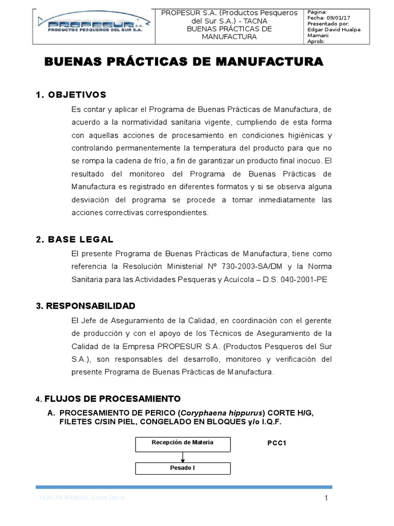 Buenas Prácticas de Manufactura | PDF | Análisis de Riesgo y Puntos Críticos de Control ...