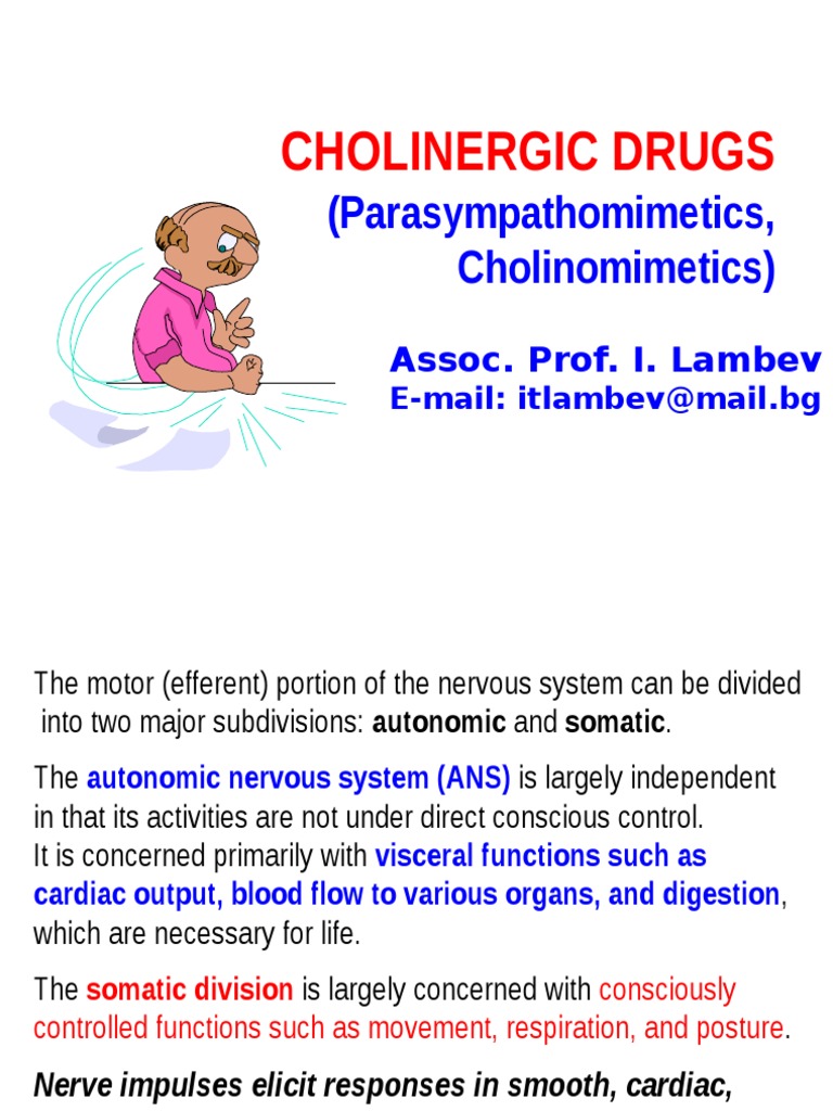 Cholinergic Drugs | PDF | Acetylcholine | Autonomic Nervous System