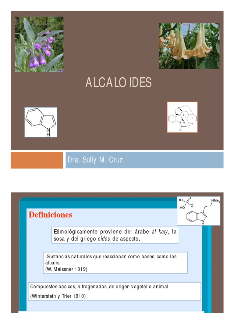 6.1. Alcaloides | PDF | Alcaloide | Solubilidad
